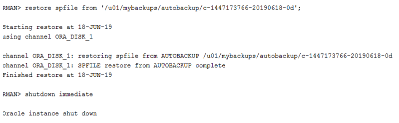 Restore Using Rman To Create Oracle 12c Database On Scratch Server Doyensys Blog